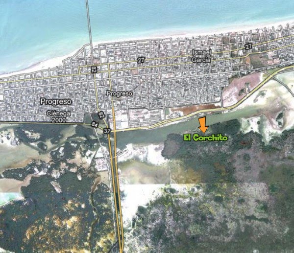 De PASEO con los Cotys: Ecoturismo en Progreso