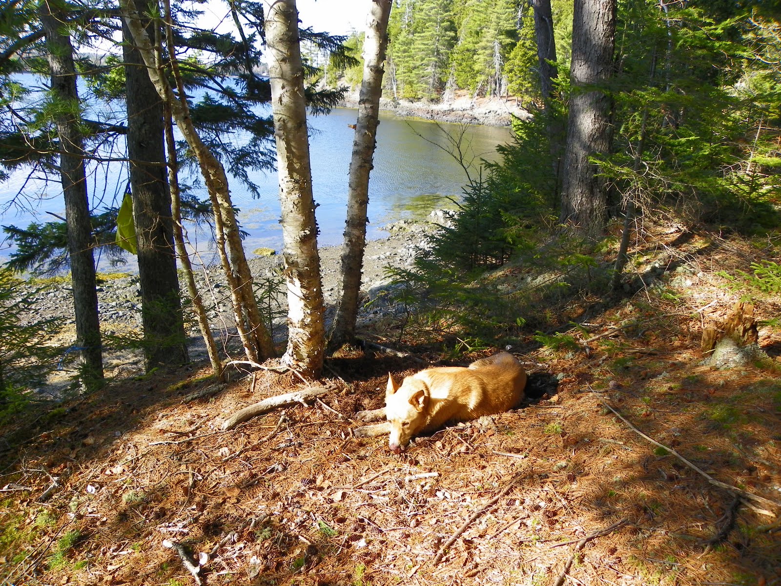 The Adventures of Joshua and Tilley: Spoon Island Afternoon Hike, Part ...
