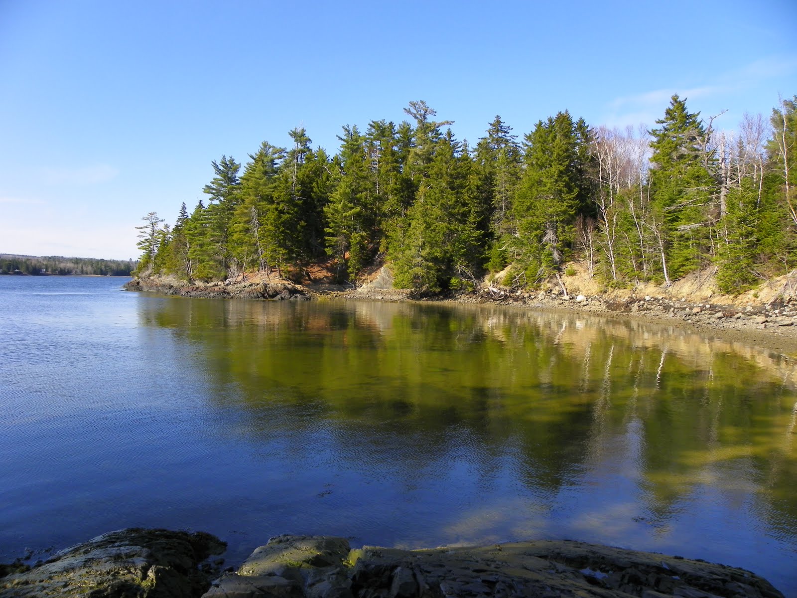 The Adventures of Joshua and Tilley: Spoon Island Afternoon Hike, Part ...