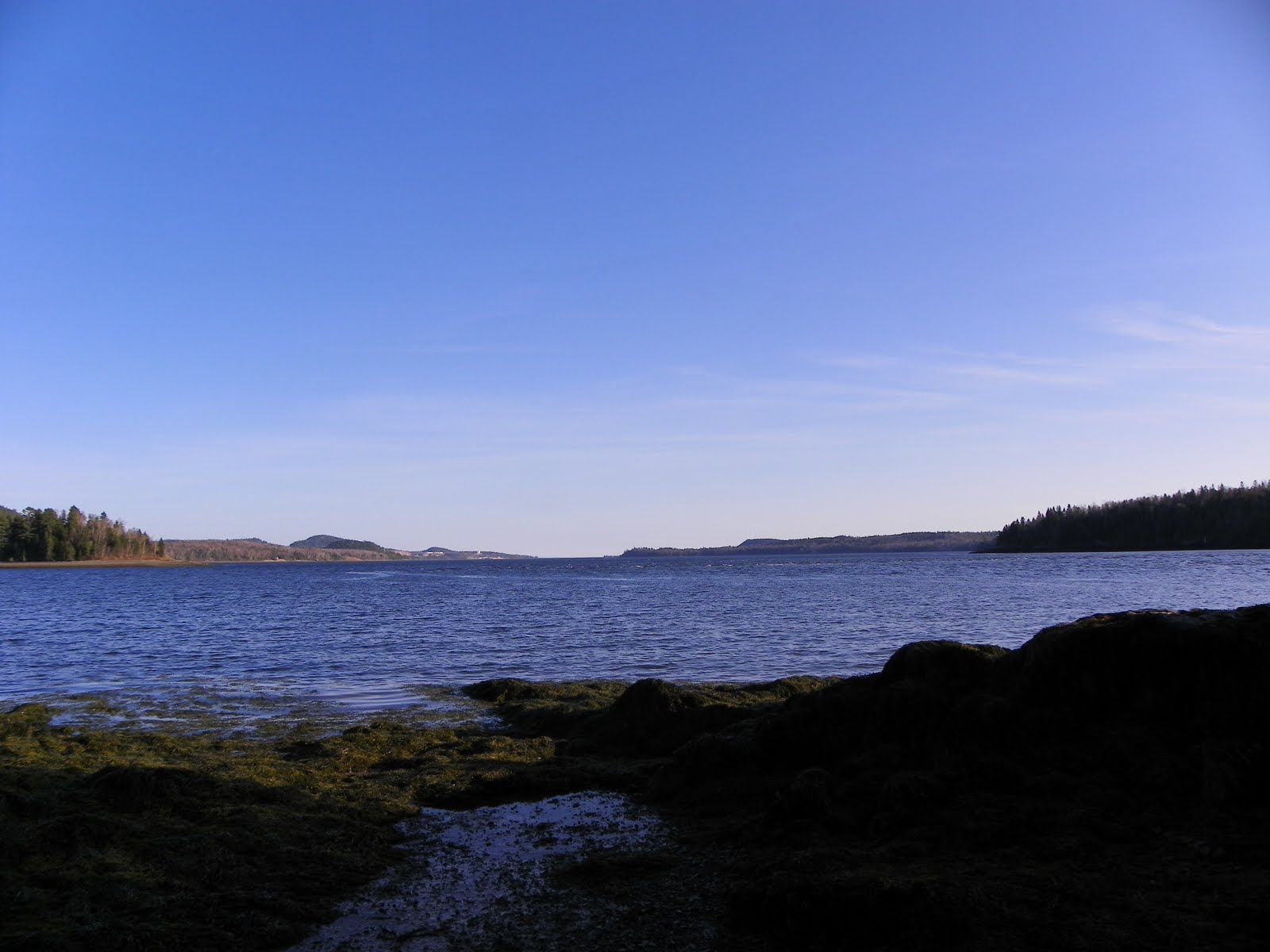 The Adventures of Joshua and Tilley: Spoon Island Evening Hike, Part 4 ...