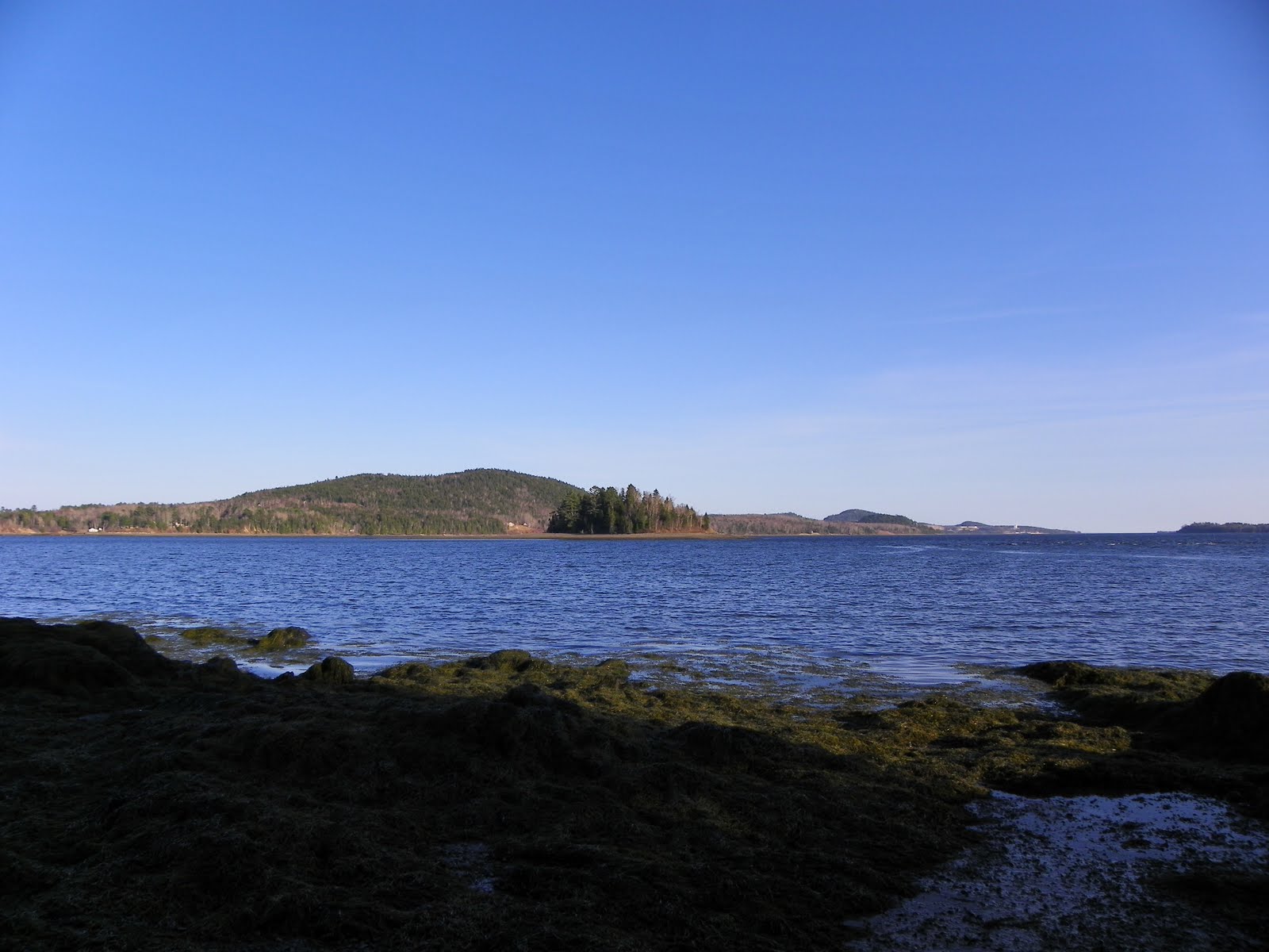 The Adventures of Joshua and Tilley: Spoon Island Evening Hike, Part 4 ...