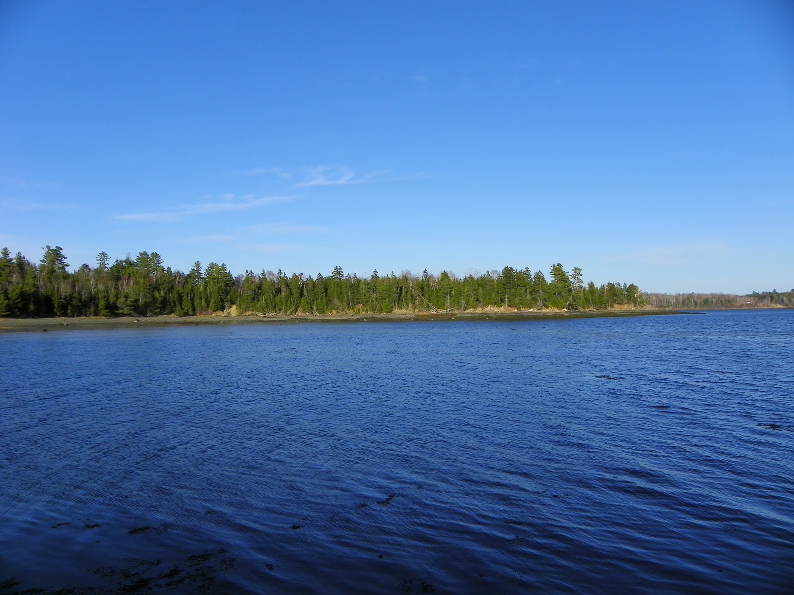 The Adventures of Joshua and Tilley: Spoon Island Evening Hike, Part 4 ...