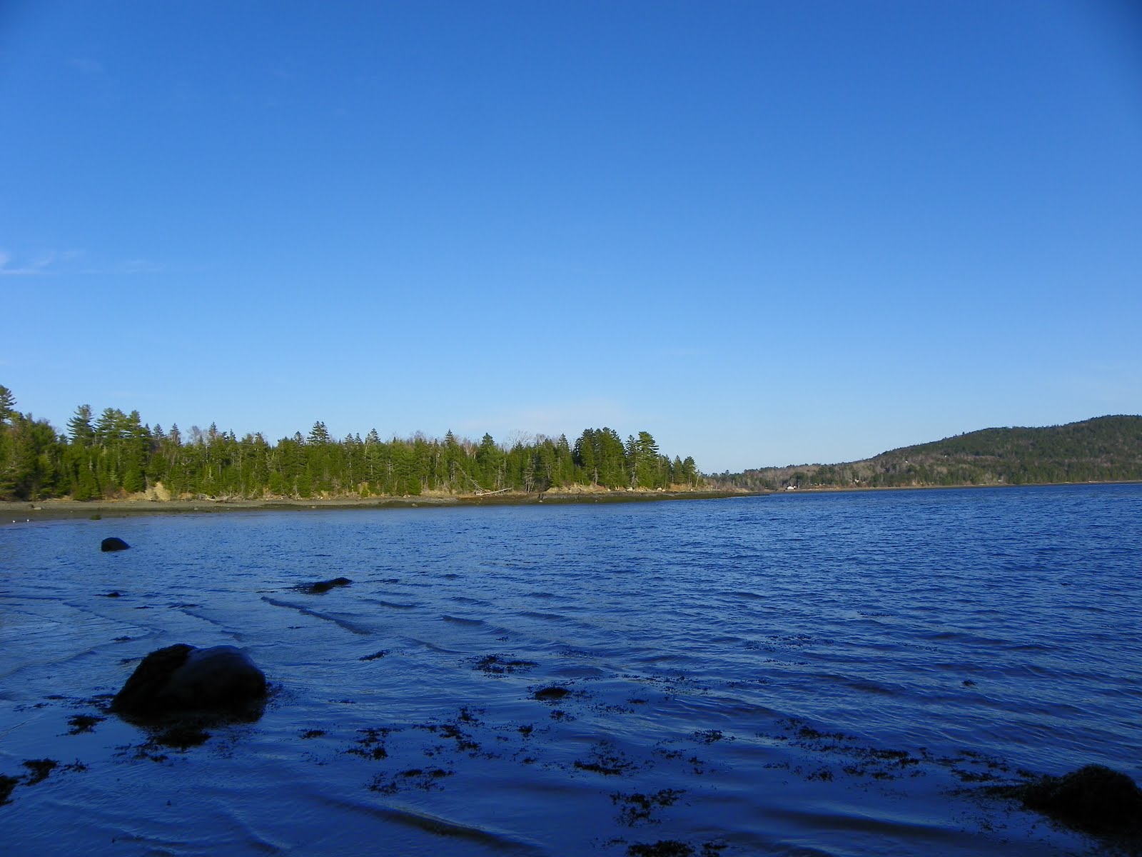 The Adventures of Joshua and Tilley: Spoon Island Evening Hike, Part 4 ...