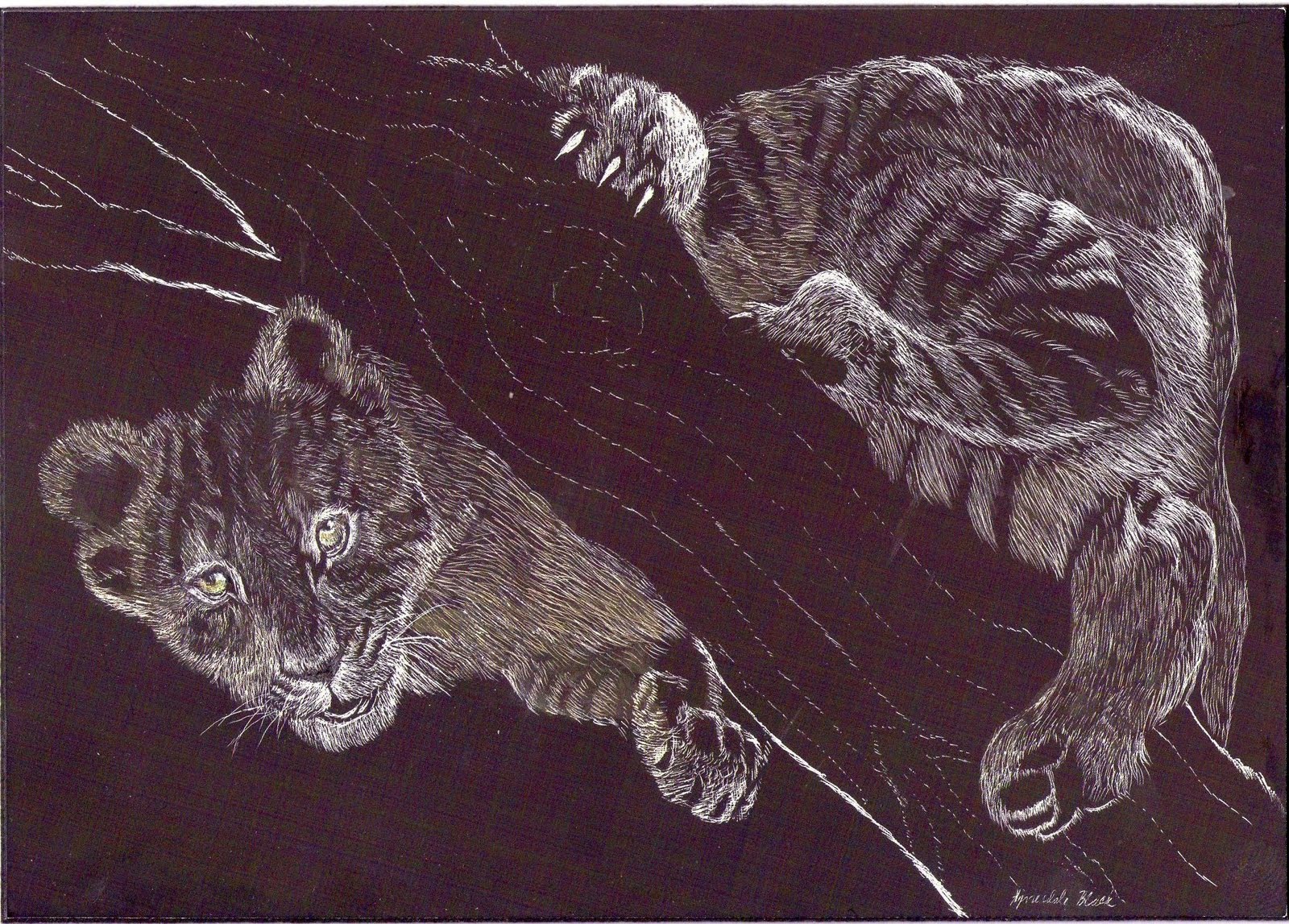 Ampersand Scratchboard Ink at Kathryn Ono blog