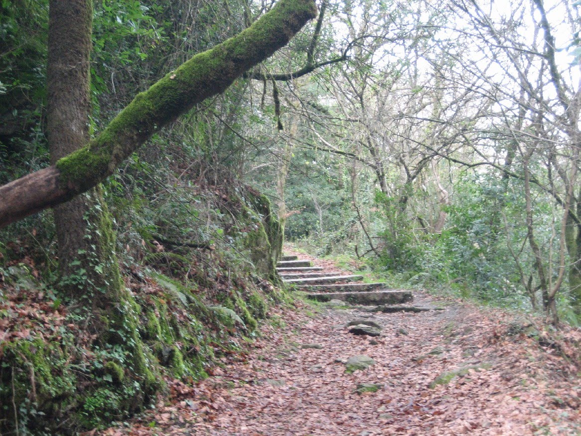 Rutas por Galicia: Cataratas de Merza