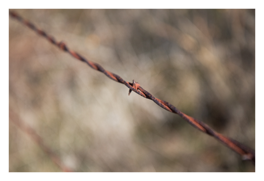 Tawnee Stone Wikipeida