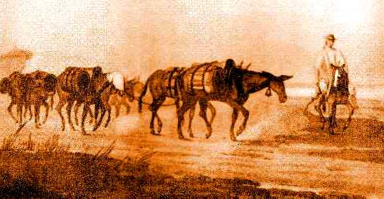 Las mulas en los llanos en el tiempo colonial y la gesta de ...