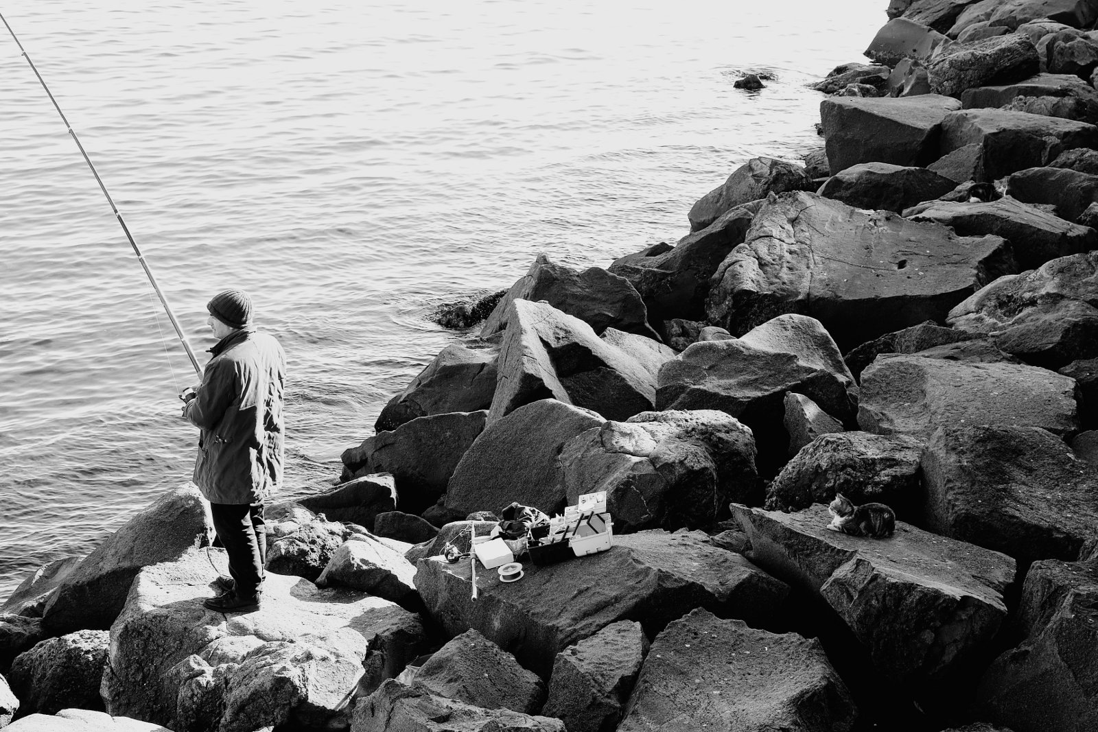 Sights And Lights Don t Lose Sight On Him BW sights-and-lights-don-t-lose-sight-on-him-bw