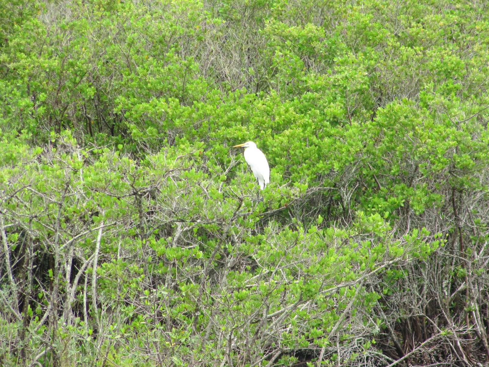 The Adventures of Gypsies in the Palace: Our New Home - Merritt Island!