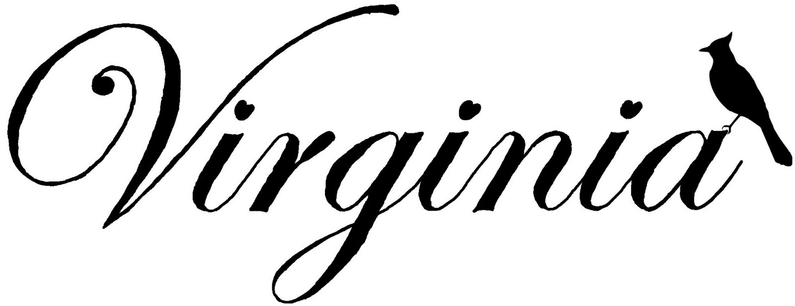 Booski Lynn Design Portfolio: Virginia Wordmark