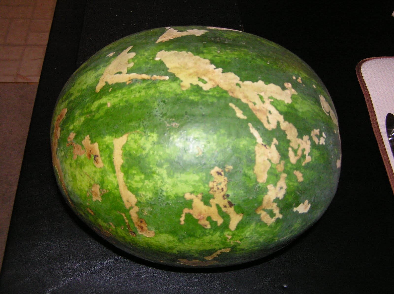 Watermelon - AoM: Cooking