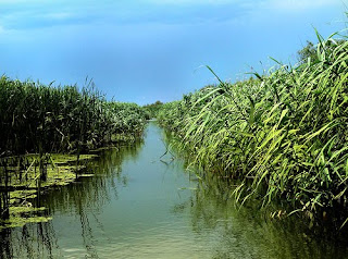 Tutto sulla Romania: ALLA SCOPERTA DI ROMANIA:IL DELTA DEL DANUBIO