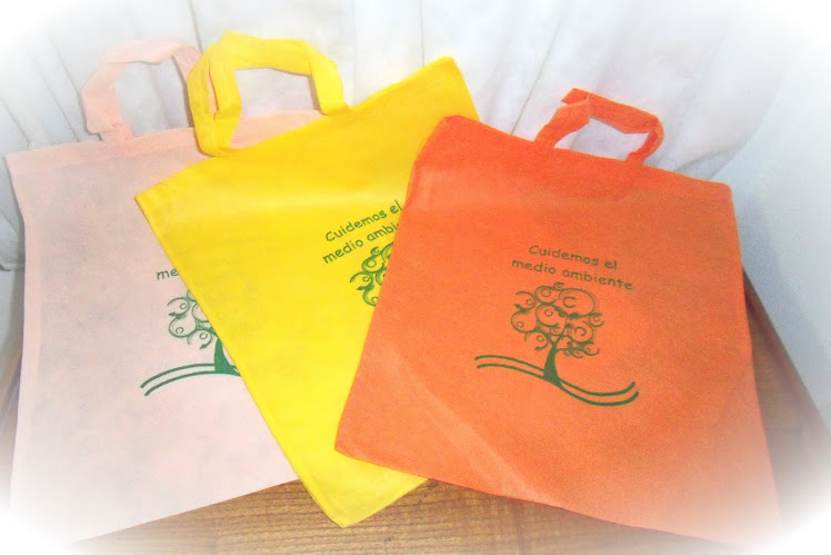 El hombre de las bolsas