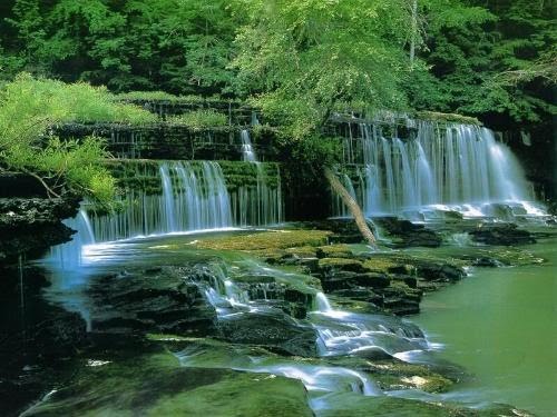 Fundação Mundo Amado: O que é a Natureza para você