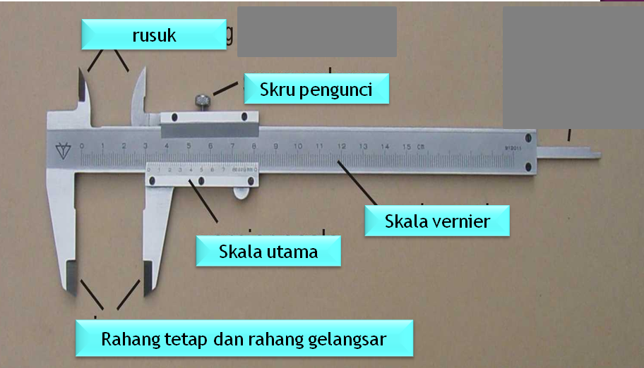Bahagian- bahagian angkup