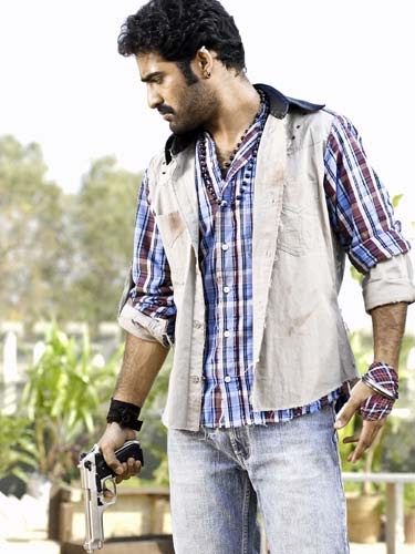 Jr Ntr In Kantri