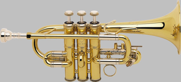 KINGDOM OF ONG DYNASTY: Different types of trumpet!