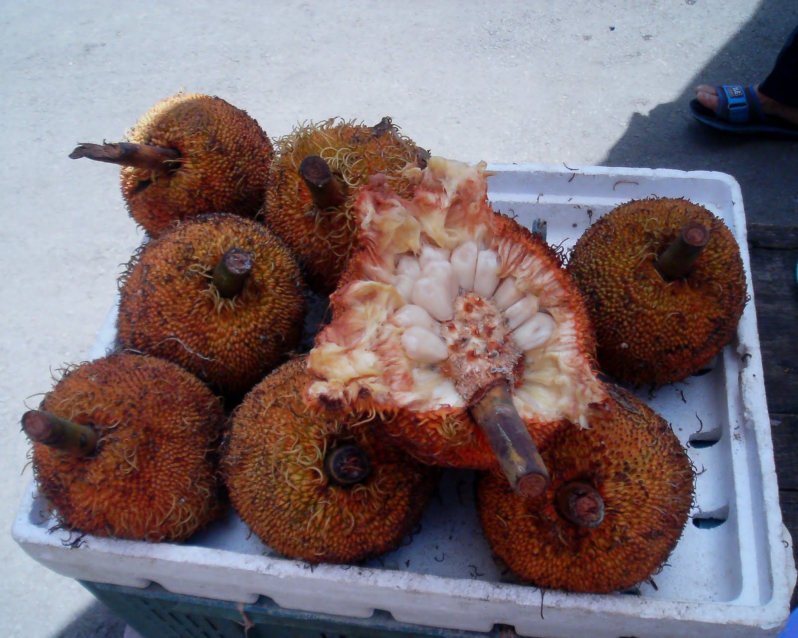 ORANG MUDA: BUAH SARAWAK...