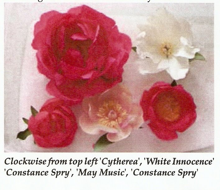 Canadian Peony Society: Planting/ Care/Drying/ Cutting /Storing