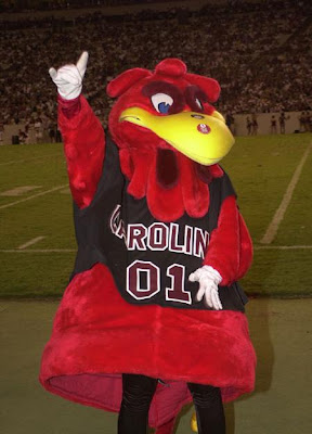 The University of South Carolina Salkehatchie "Indians" Official ...
