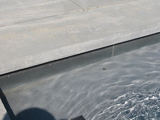 Leisure Pools, Inc: 18x30 pool with step platforms and bluestone patio
