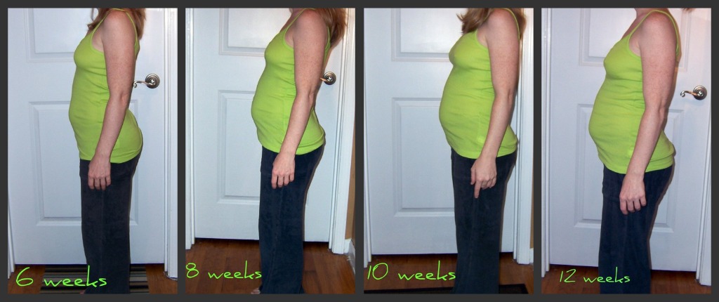 The Library Lady Life: 1st trimester