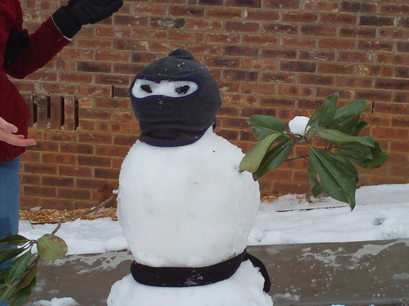 Happy.Monkey: Mac the Ninja Snowman