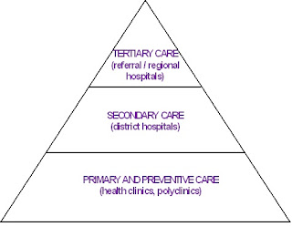 Medicine is Essence to Health: Day 5: Primary Health Care