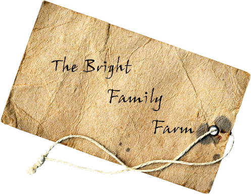 Bright Family Farm: Acorn Swaddle Sac and Cap knitting pattern