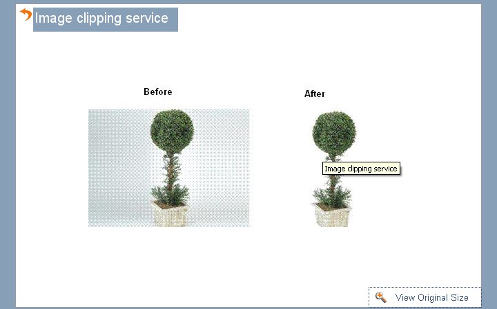 Graphic Design: Image Clipping Path Works By SBL Graphics