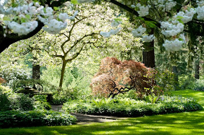 A Magical Spring Morning