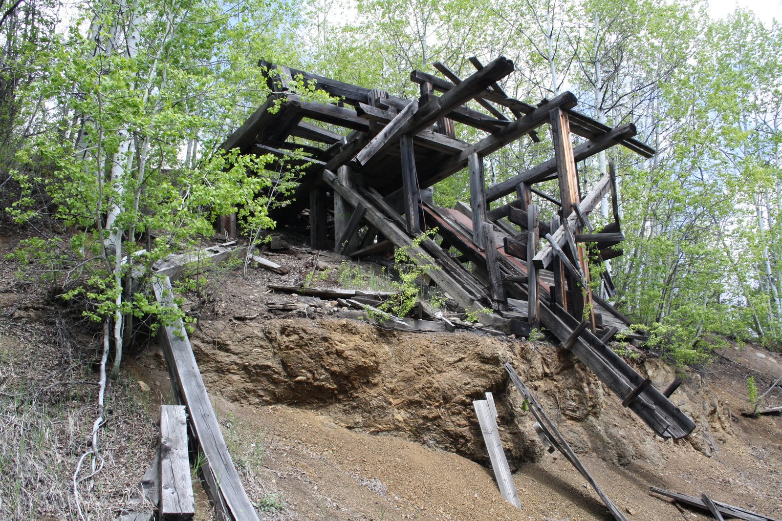 FoxwoodLane: June 2010