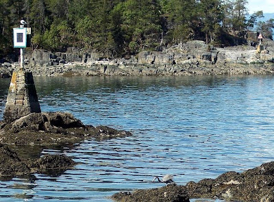 TEXADA ISLAND,real estate.