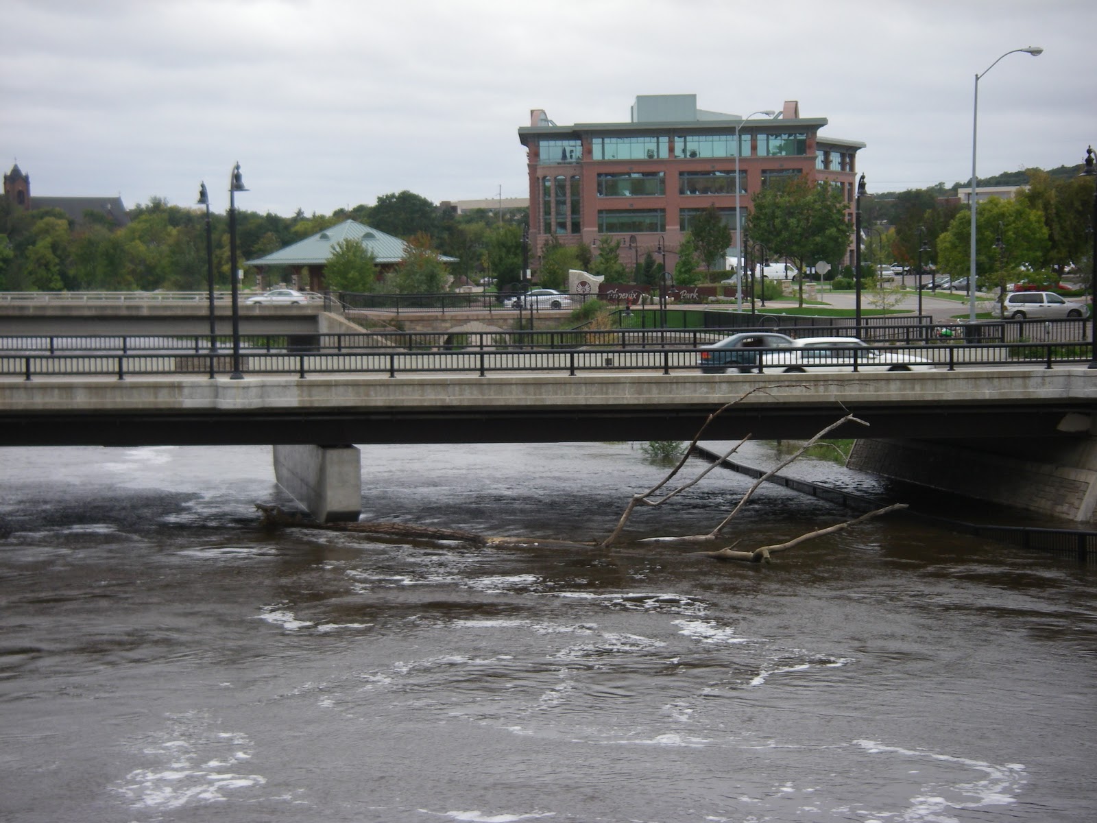 Jim Falls Whitewater: January 2011