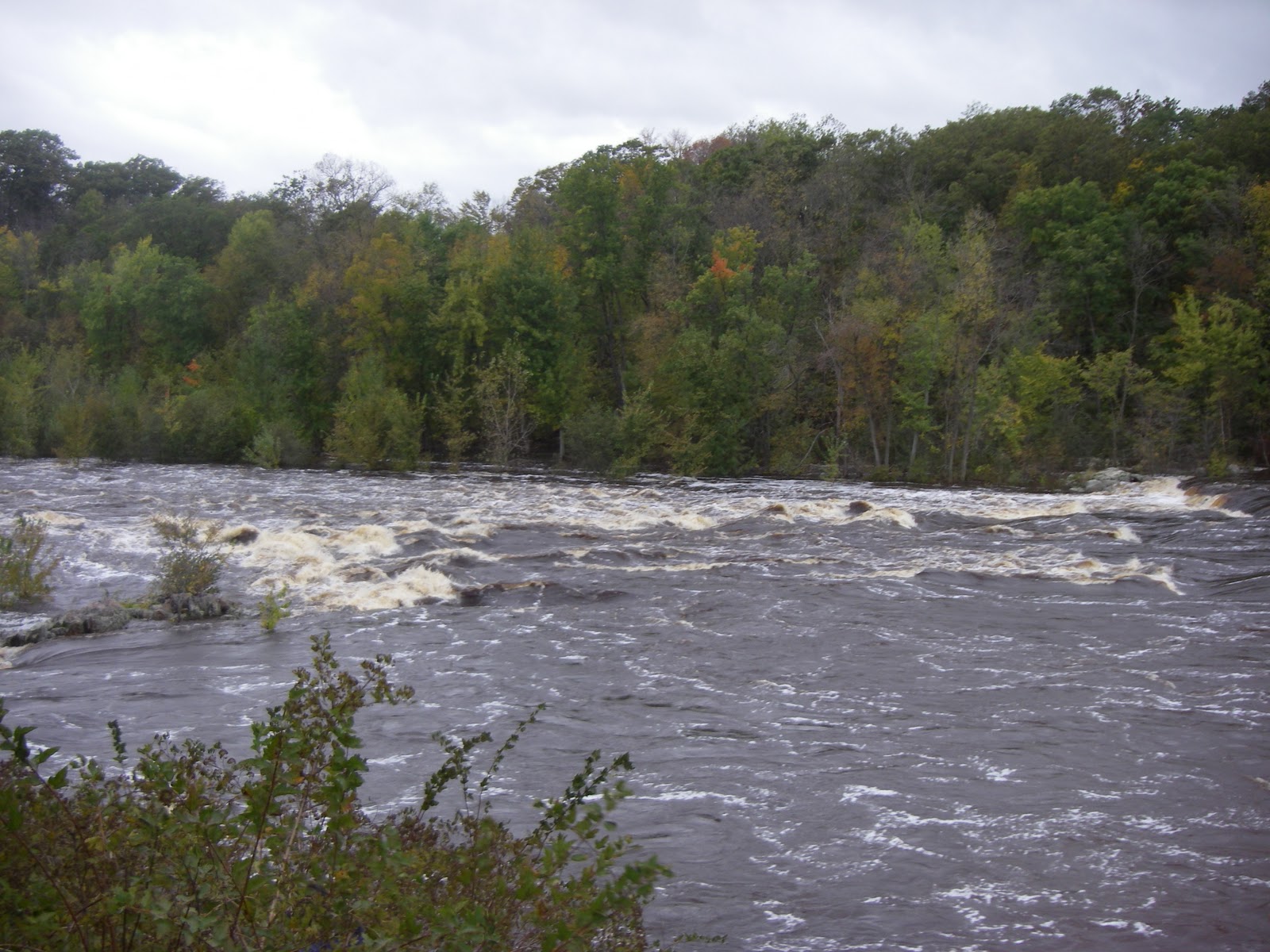 Jim Falls Whitewater: January 2011