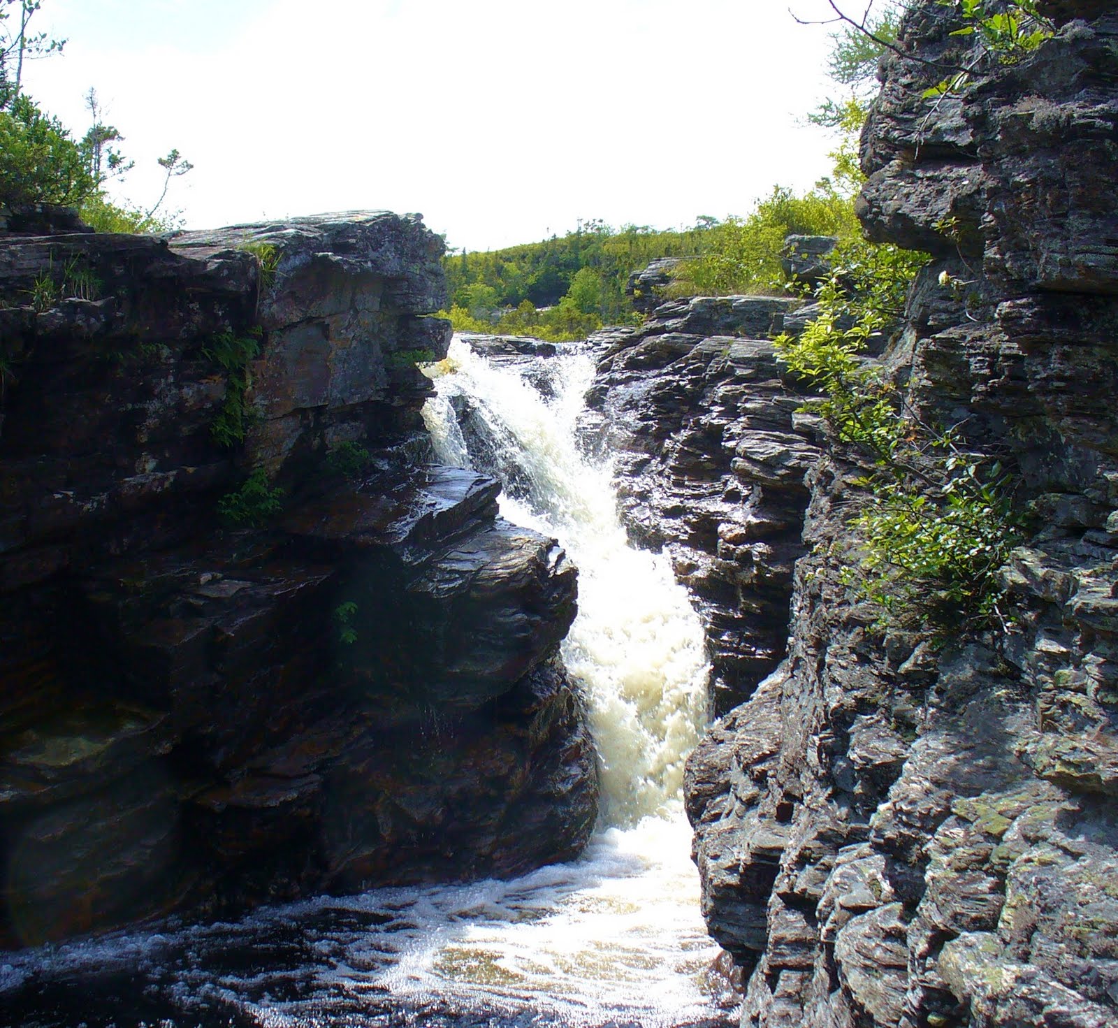 SV Sunflower goes North