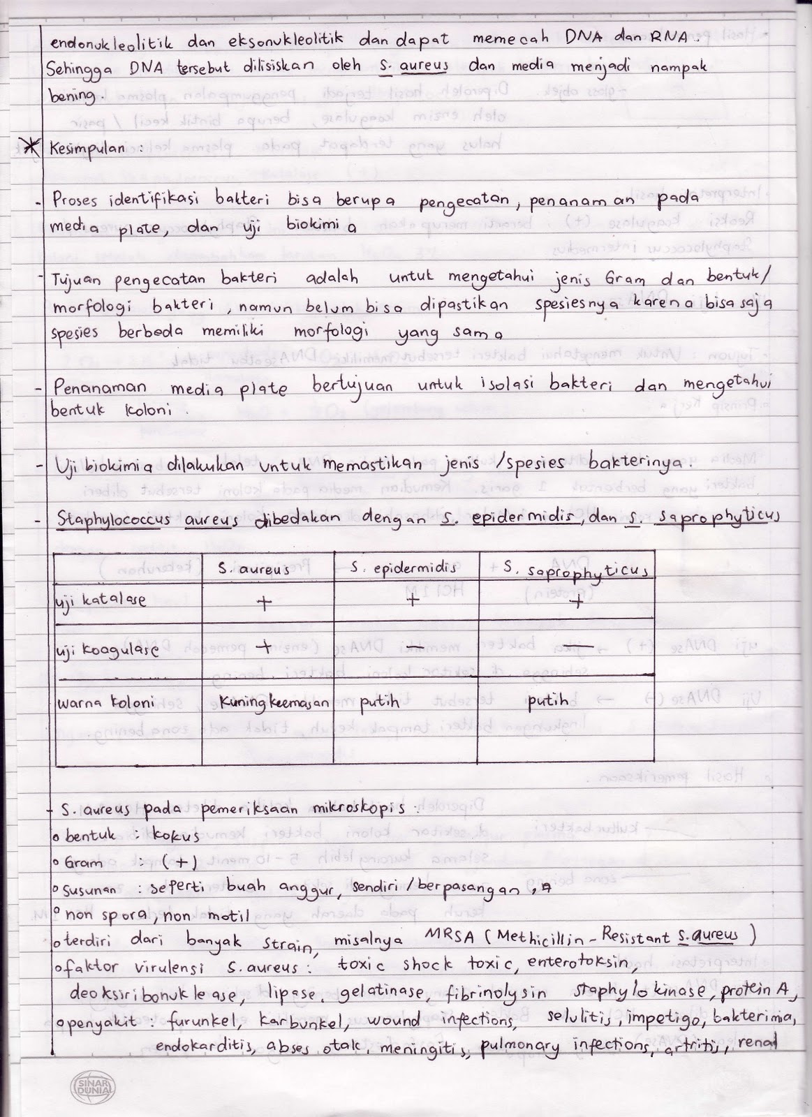 Laporan Praktikum Mikrobiologi Uji Biokimia ~ GRETCHEN Laporan Praktikum Mikrobiologi Uji Biokimia ~ GRETCHEN