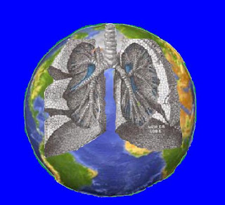 conservando los pulmones de nuestro planeta: Pulmones para la tierra