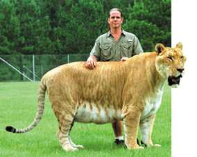 Image Impression: January 2011