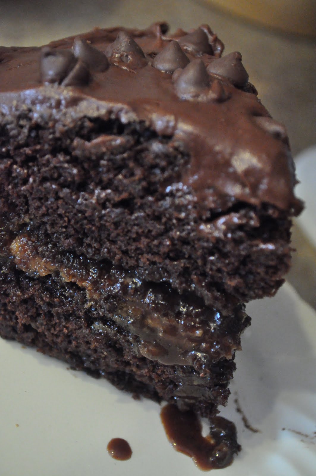 Ur Baking Me Crazy!: DELICIOUS Praline Turtle Cake!