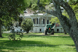 WOUNDED BIRD: GOOD-BYE ACADIA PLANTATION