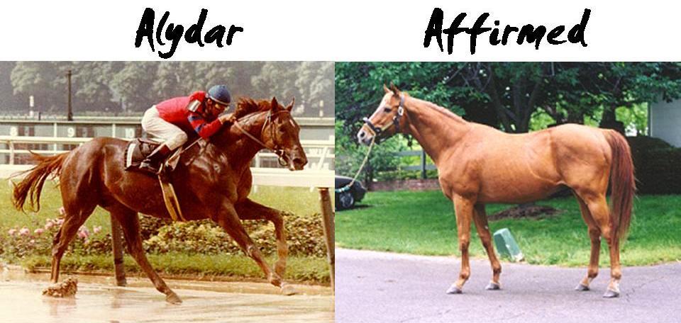 Hipódromos y caballos - Racetracks and horses: Affirmed contra Alydar ...