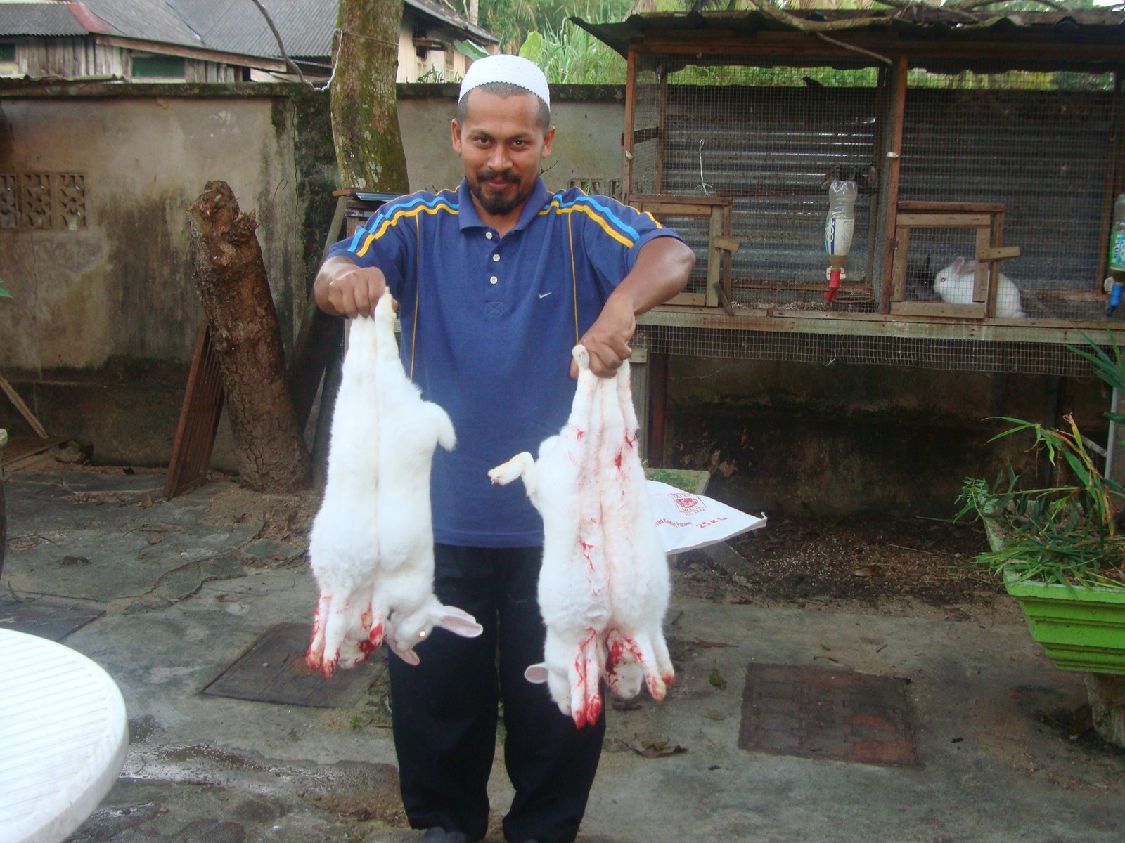 Mualaf Kinabalu: Cara proses daging arnab