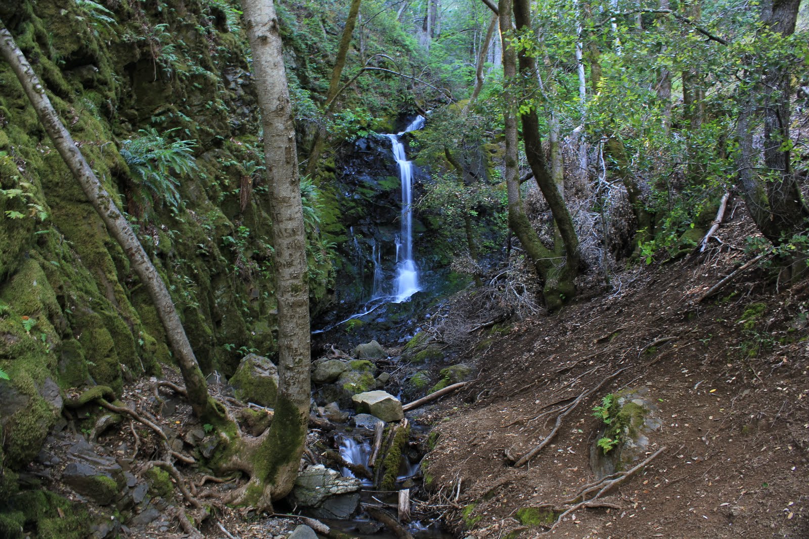 The Waterfall Page: Black Rock Falls