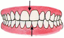 It's All In Yo' Grill: .bambi. asks: "SHOULD MY MIDLINE STILL BE OFF?"