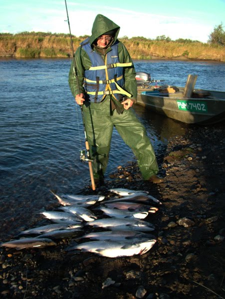 Chavanga Fish Blog: Kamchatka fishing. Catching of a salmon on the ...