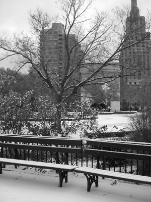 The Intrinsic Beauty of Gotham in the Falling Snow