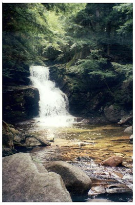 North Country Chronicles: A Visit to Coldbrook Falls Memorial Reservation