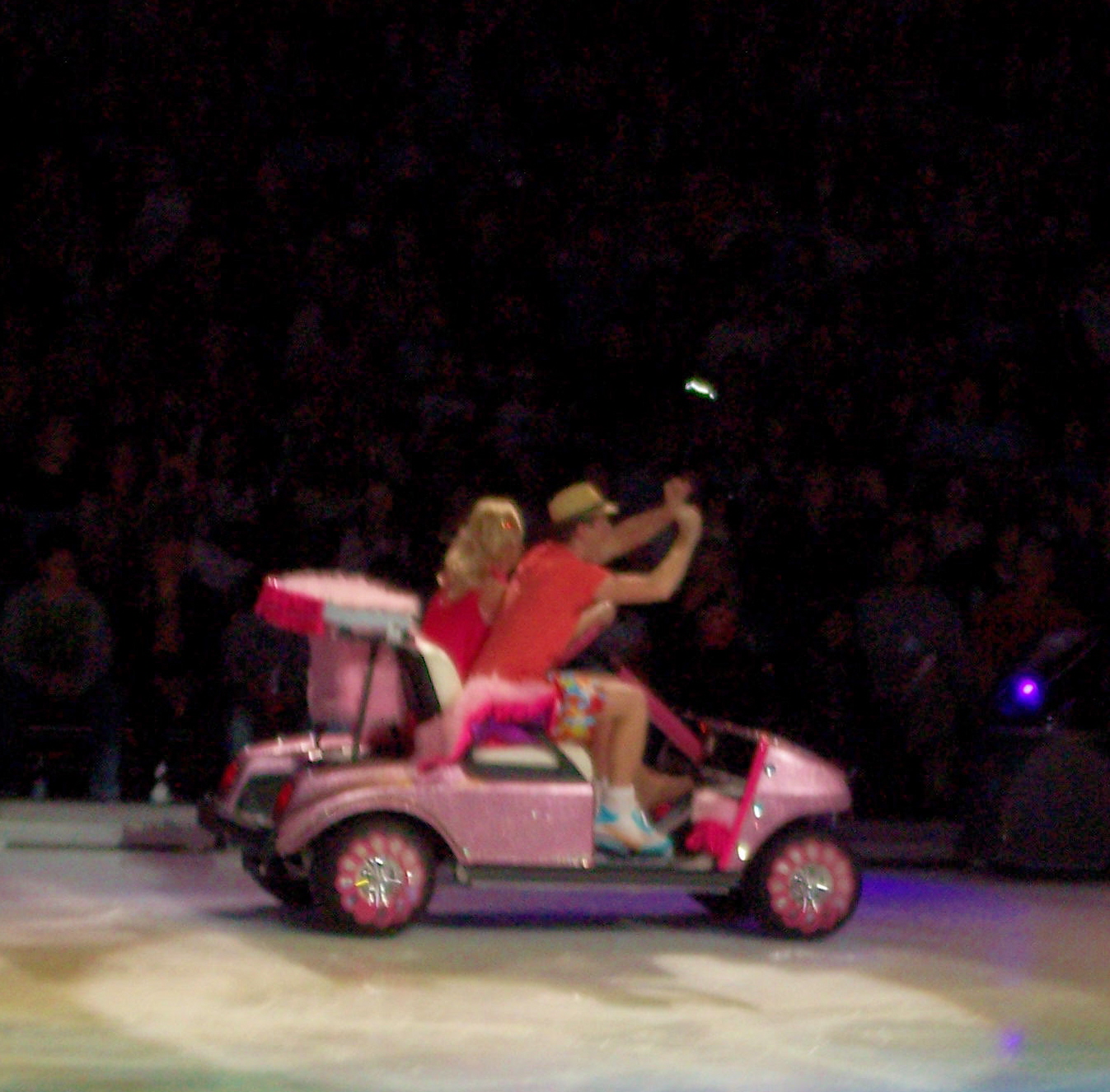 Macee's World: High School Musical... The Ice Tour.