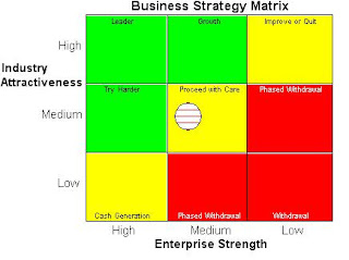 Solmon Raja Nalabolu: GE-MC KANSY 9 CELL MATRIX